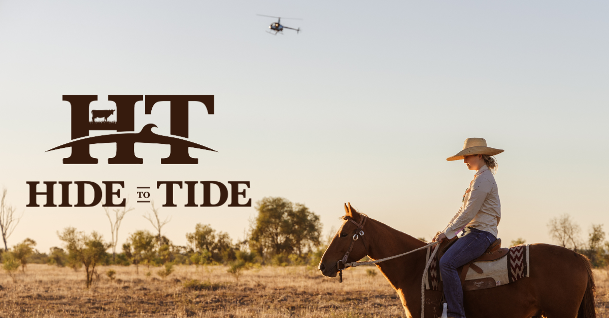 NEW ARRIVALS – Hide to Tide